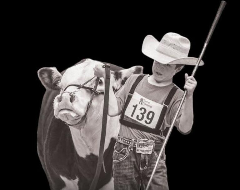 Sullivan Supply, Inc. – The Innovative Leader in Livestock Grooming ...