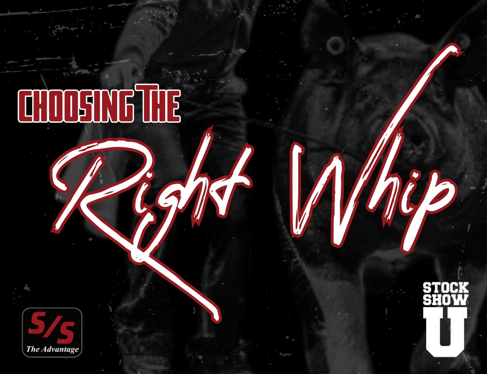 Choosing The RIGHT Whip | Tips from Stock Show University® - Sullivan ...