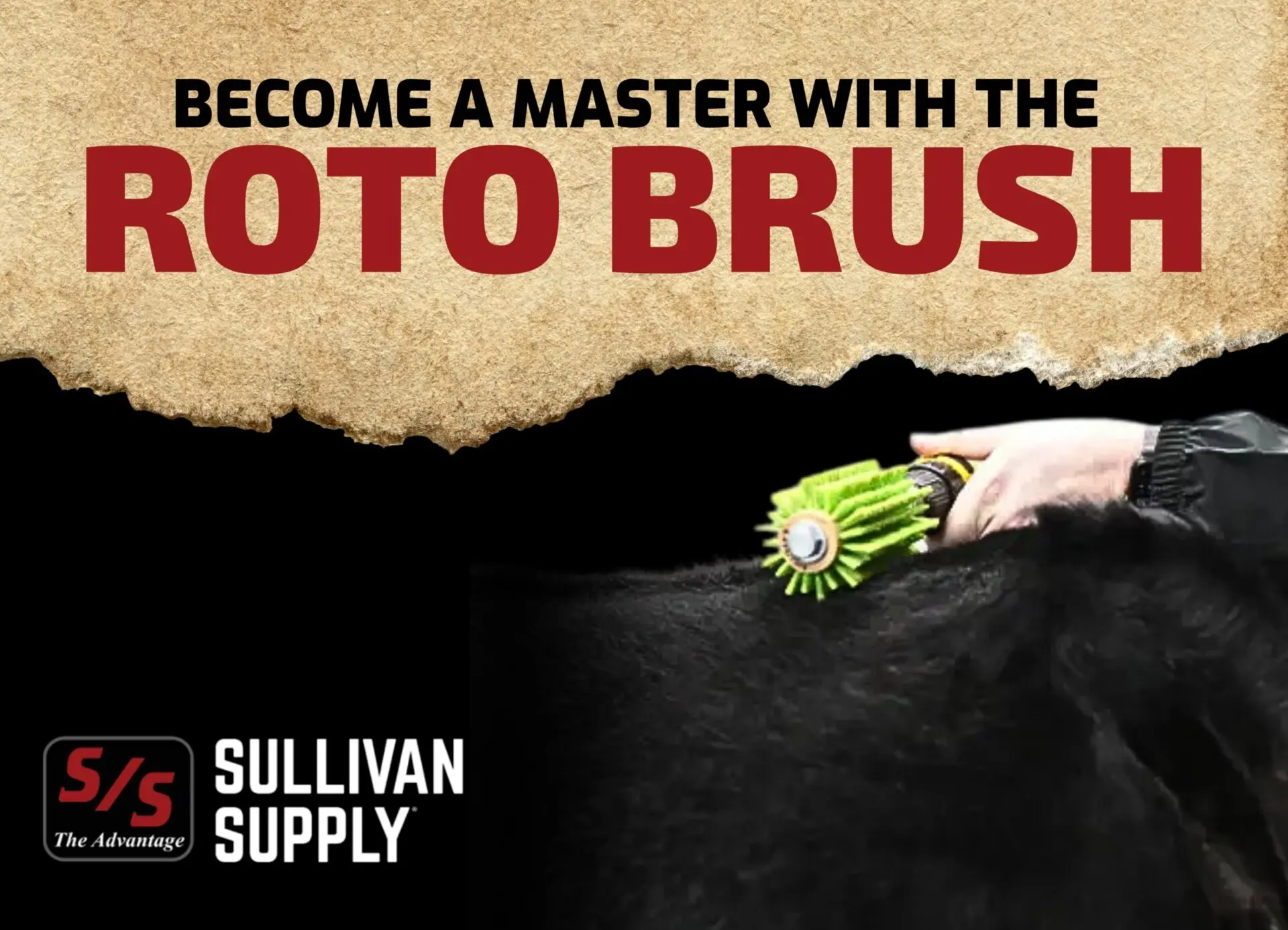 Become a Master with the Roto Brush | Tips from Stock Show University ...